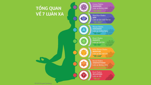 Luân Xa Là Gì? Khám Phá 7 Luân Xa Trong Cơ Thể Con Người - Shan Healing ...
